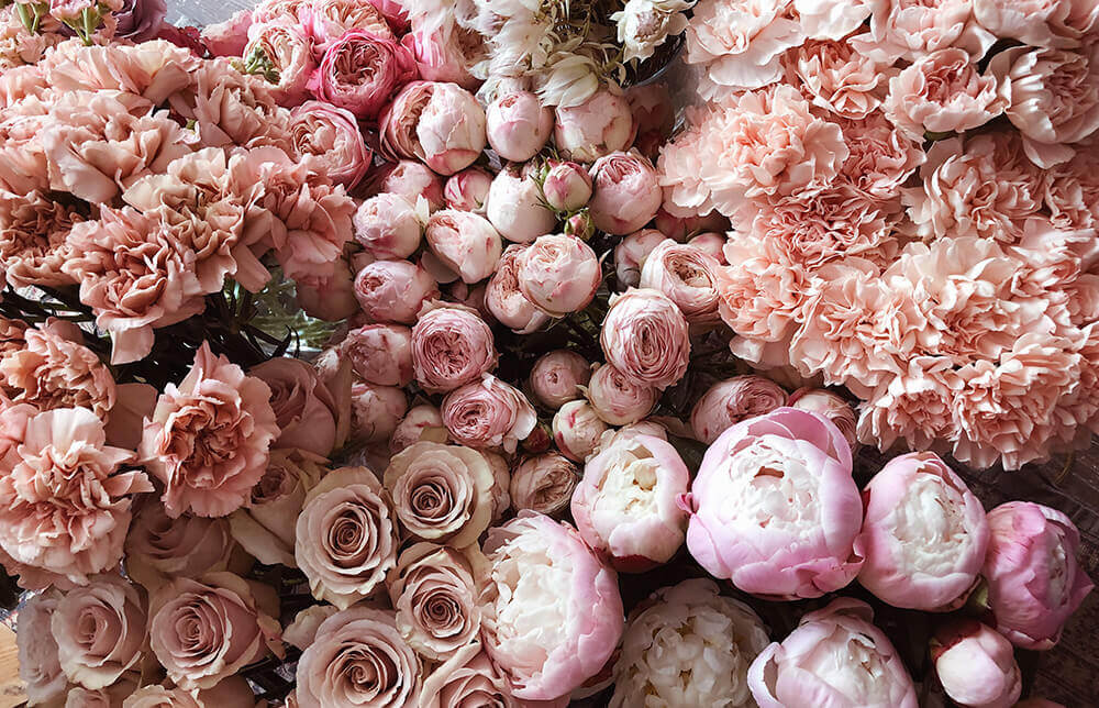 Latest Hair-Color Inspo? FLOWERS! – Joico